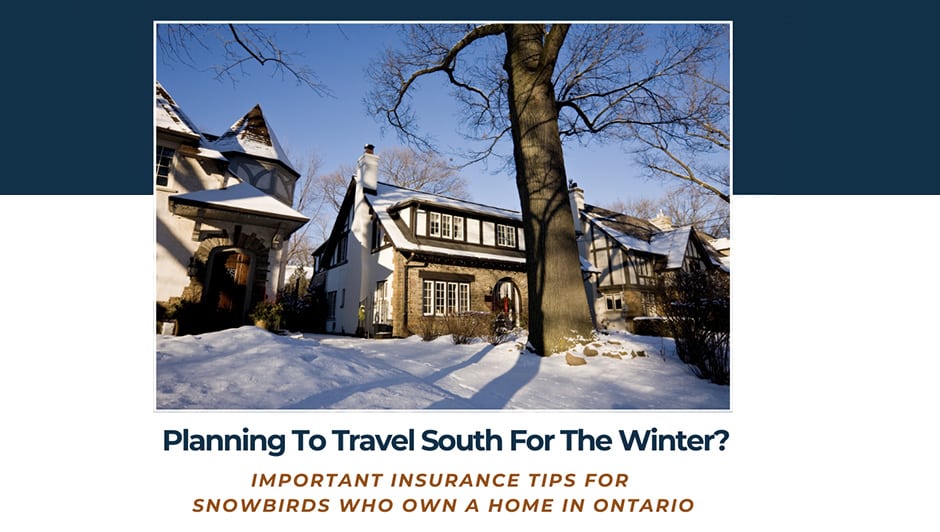 Planning to Travel South for the Winter? Important Insurance Tips for ...